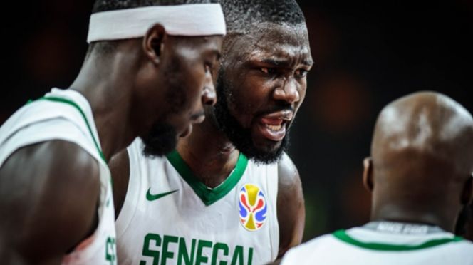 Basket / Mondial 2023 : 12 Lions retenus pour les éliminatoires ...