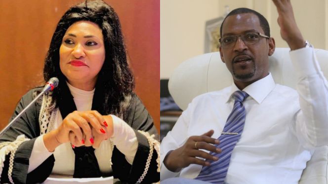 Parti « Sénégal nouveau » : Débat entre Dr Rose Waridini et Mame Boye ...