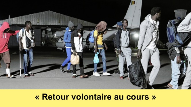 Des migrants rapatriés au Sénégal : Migration irrégulière - Notre Continent