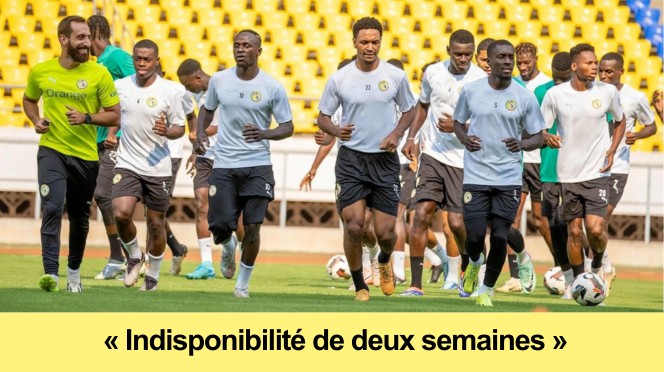 Début du regroupement des Lions : Éliminatoires de la CAN 2025 - Notre ...